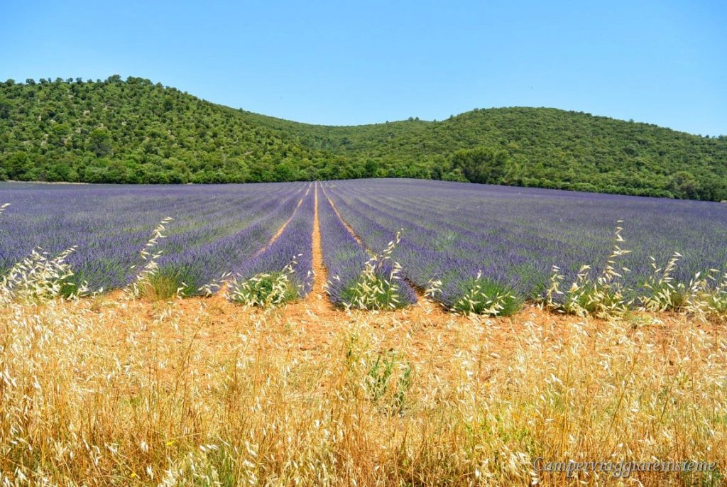 Alta Provenza e Luberon in camper - Camperviaggiare Insieme